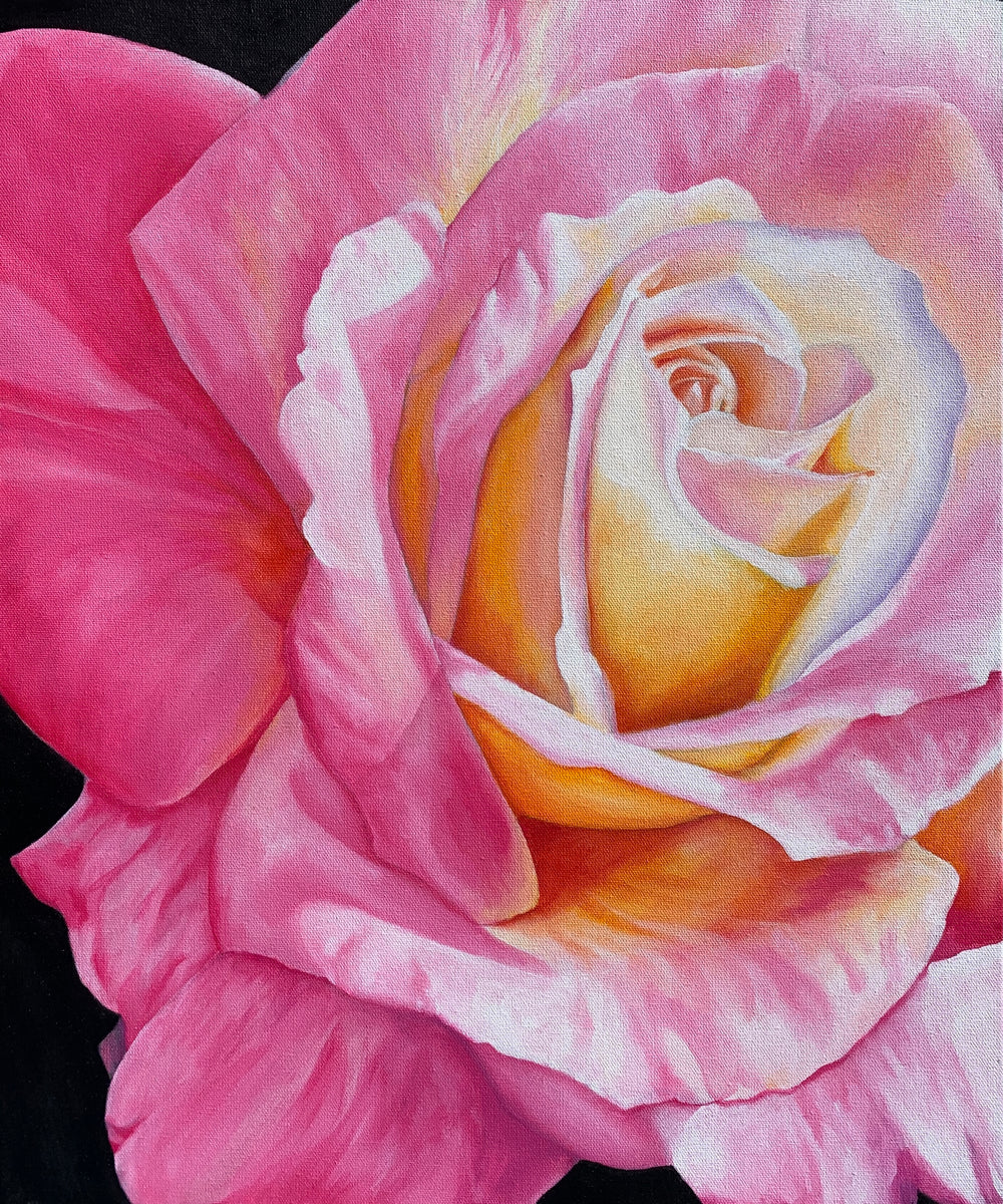 Peace Rose – Marple Art